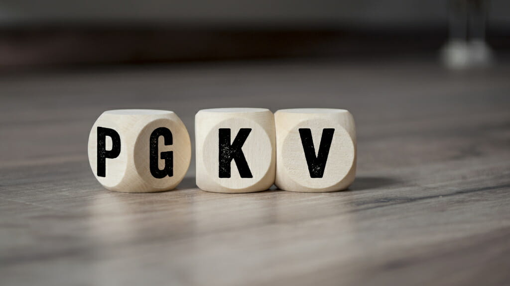 PKV oder GKV für Selbstständige: So entscheiden Sie sich richtig